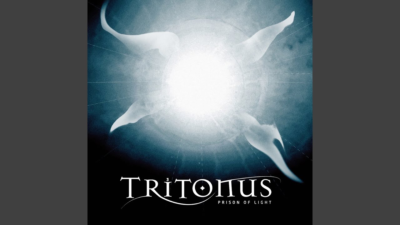 The Quantum and the Lotus - YouTube