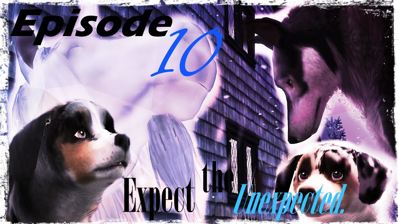 A sims 3 Pets story; ''In my Eyes'' ~ Episode 10 - YouTube