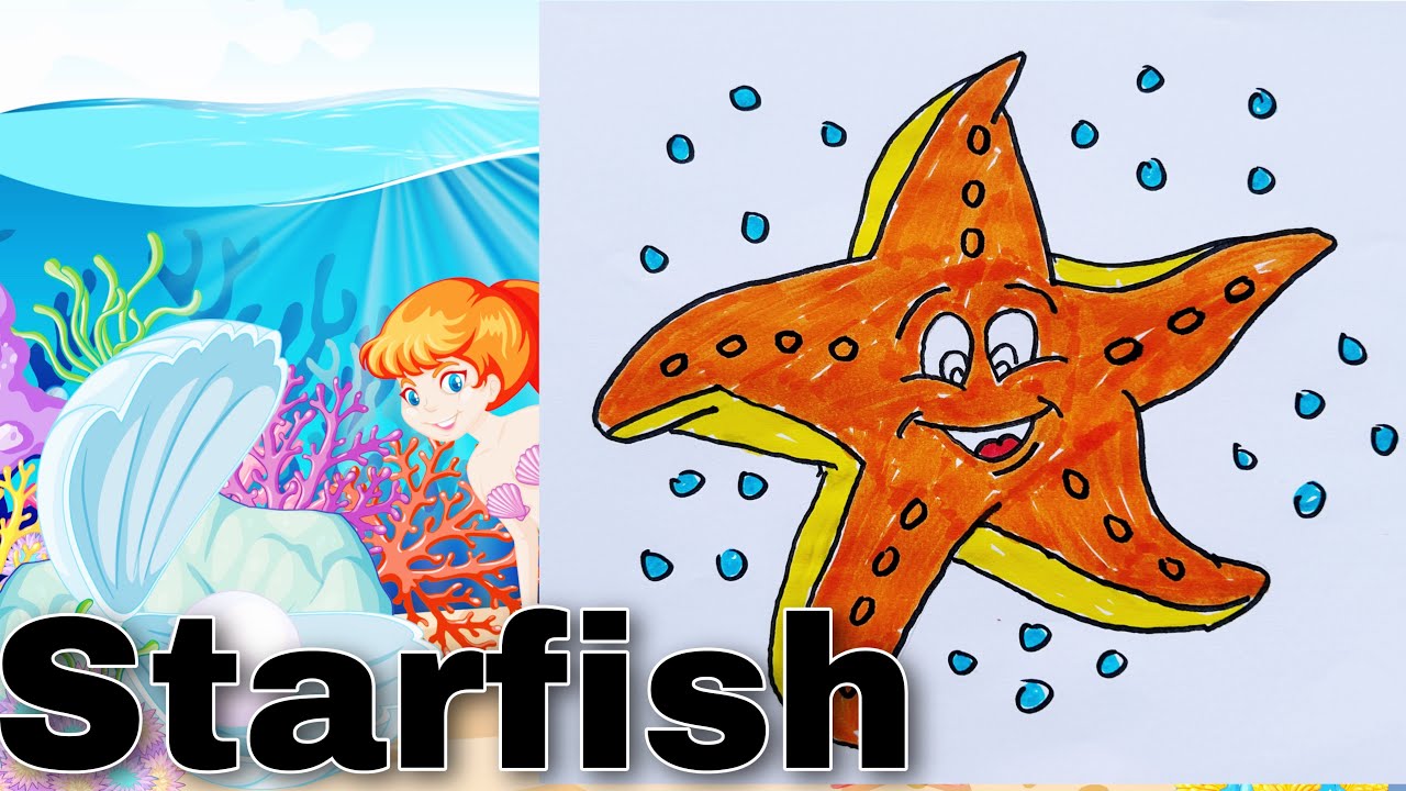 FishllStar Fish fish ||How To Draw Star Fish fish||Step by Step Star ...