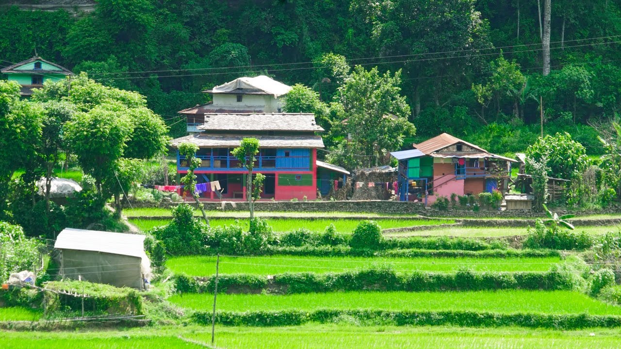 This is real himalayan life | Mountain village life in Nepal | Life in ...