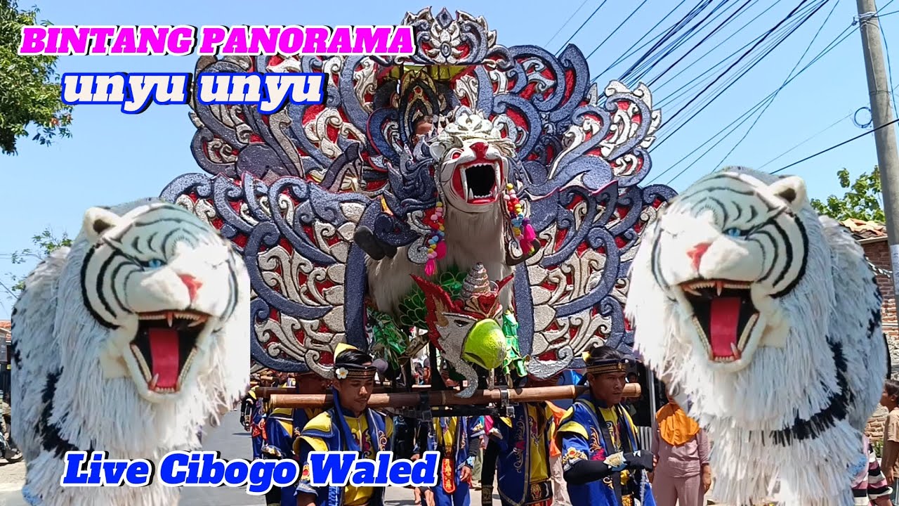 VIRAL UNYU UNYU BINTANG PANORAMA || LIVE SHOW CIBOGO WALED - YouTube