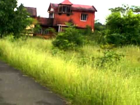 Devrukh/ Ratnagiri Ambav NAplot.mp4 - YouTube