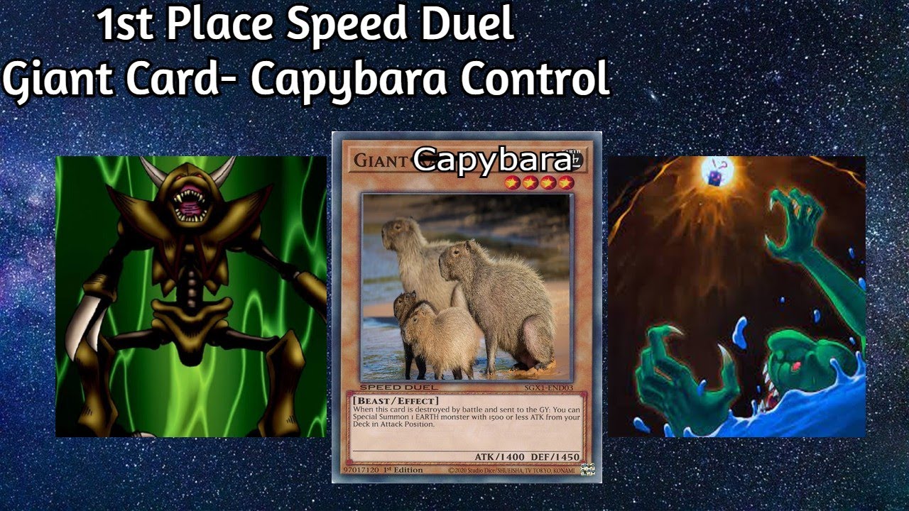 1st Place Speed Duel Giant Card - Capybara Control Deck Profile Yu-Gi ...