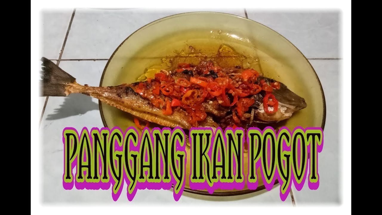 CARA PANGGANG IKAN POGOT DENGAN BUMBU PEDAS KHAS BALI - YouTube