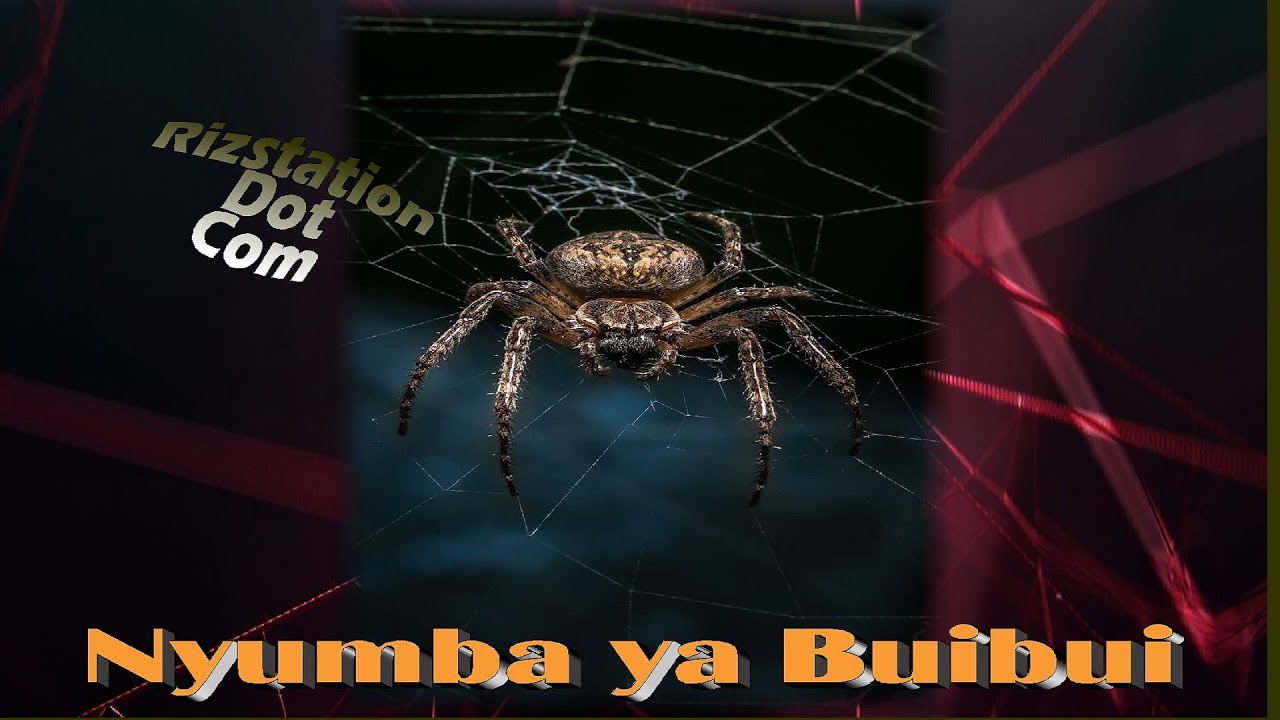 Nyumba ya Buibui - YouTube