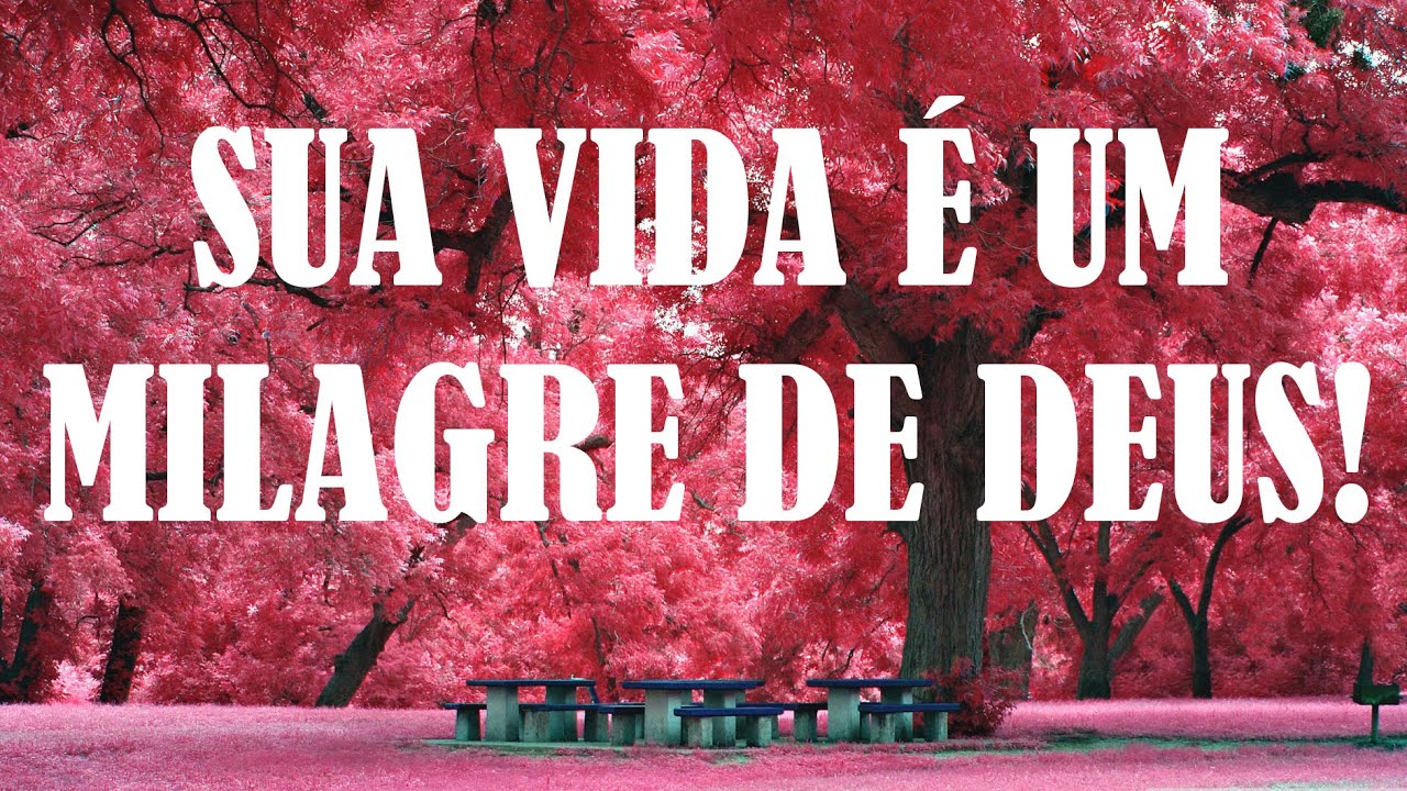 SUA VIDA É UM MILAGRE DE DEUS! MENSAGEM DE REFLEXÃO DE VIDA E ORAÇÃO ...