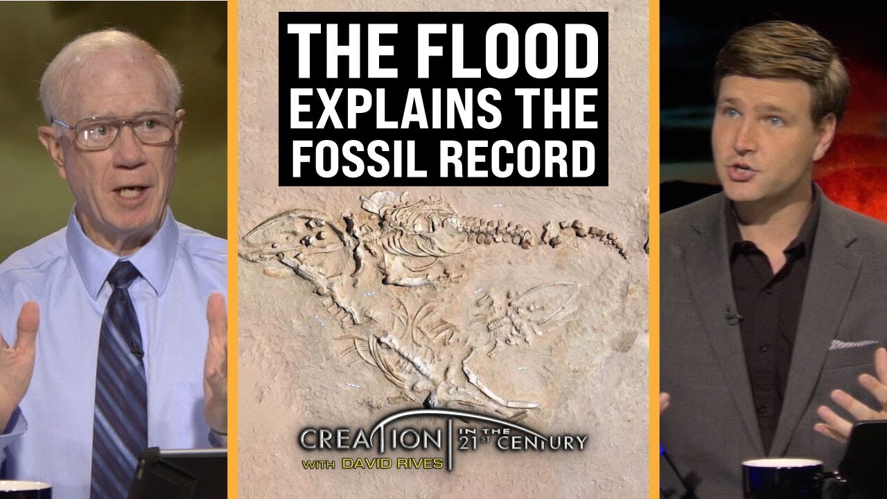 The Genesis Flood Explains the Fossil Record | CREATION with David ...