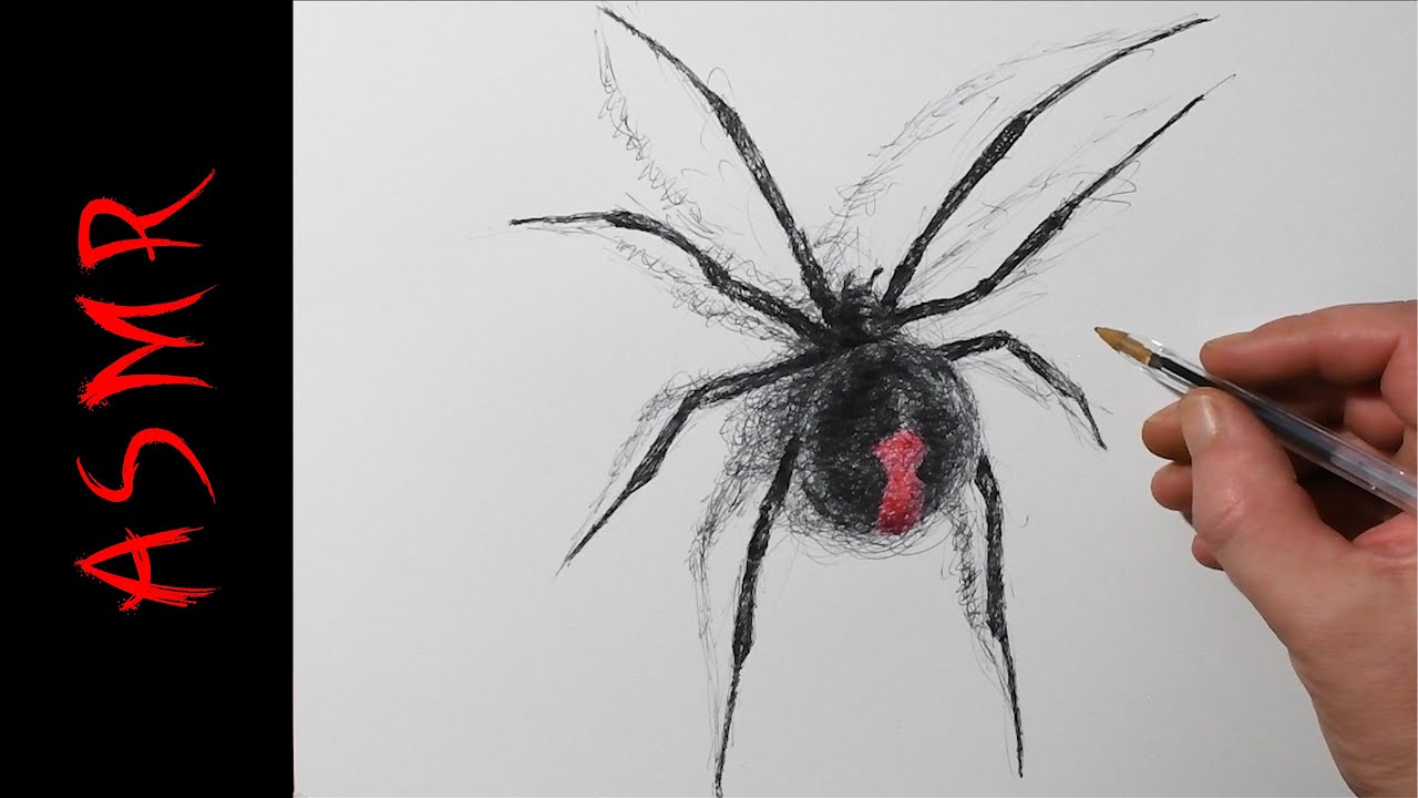 How to Draw 3D Spider Drawing on Paper | Satisfying Time-Lapse - YouTube
