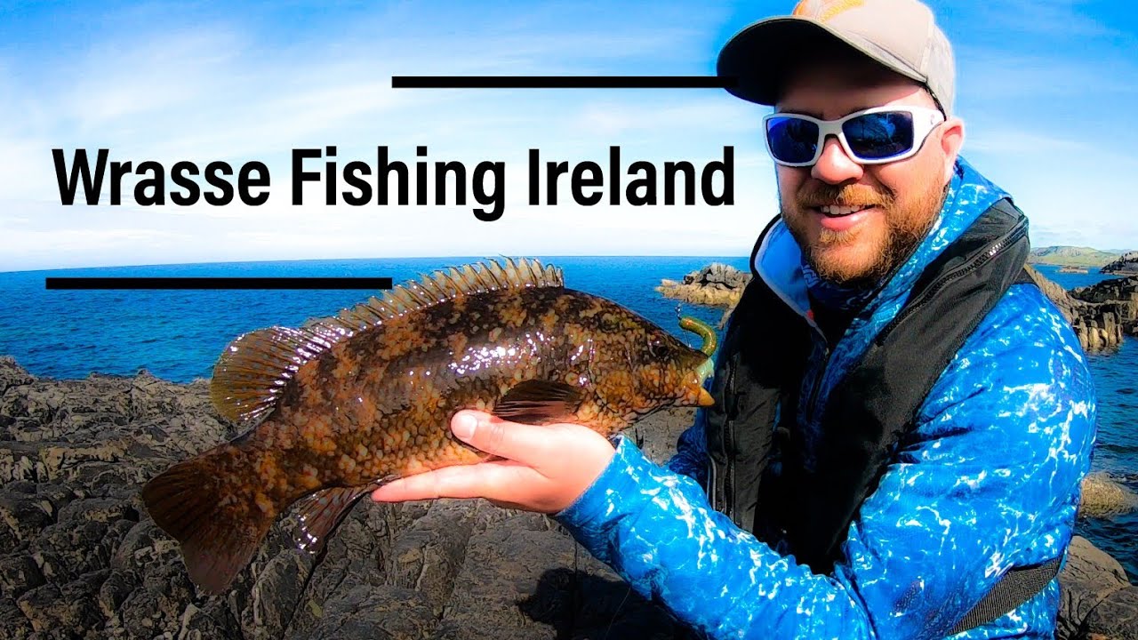 Wrasse fishing from the rocks - YouTube