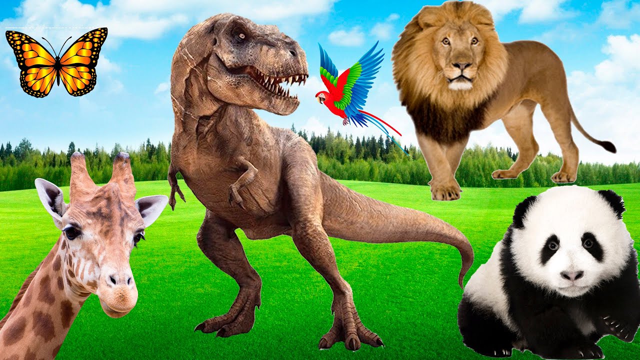 ANIMALS THE FARMERS SEE! Cow! Cat! Chicken! Dog! Duck! Pig! Horse! Goat ...