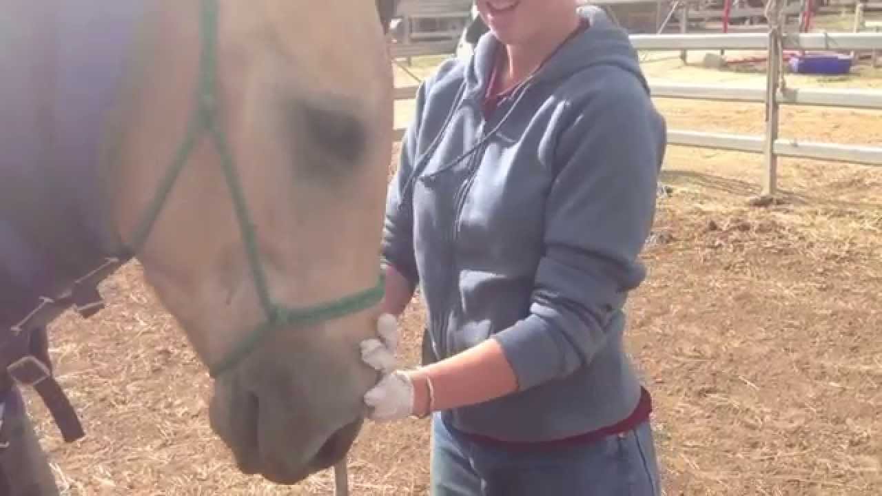 Administering Medication & Applying Restraints - YouTube