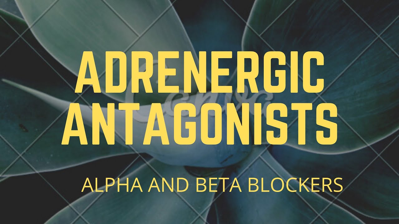ADRENERGIC ANTAGONISTS | ALPHA & BETA BLOCKERS EASILY EXPLAINED ...
