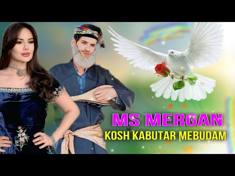Кош Кабутар Мебудам 😇 Мс Мерган / Kosh Kabutar mebudam Ms Mergan/ Хит трек 2026