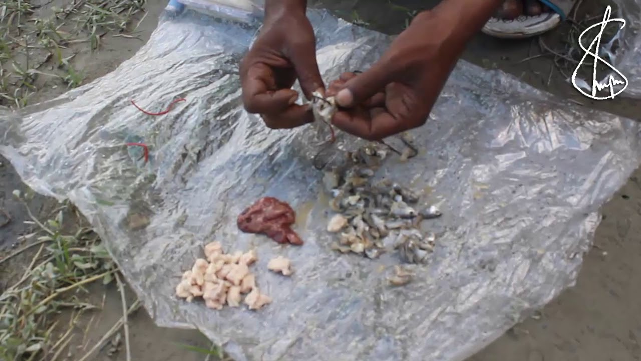 বোয়াল মাছের টোপ..!!! Helicopter catfish bait..!! Boal fish bait ...