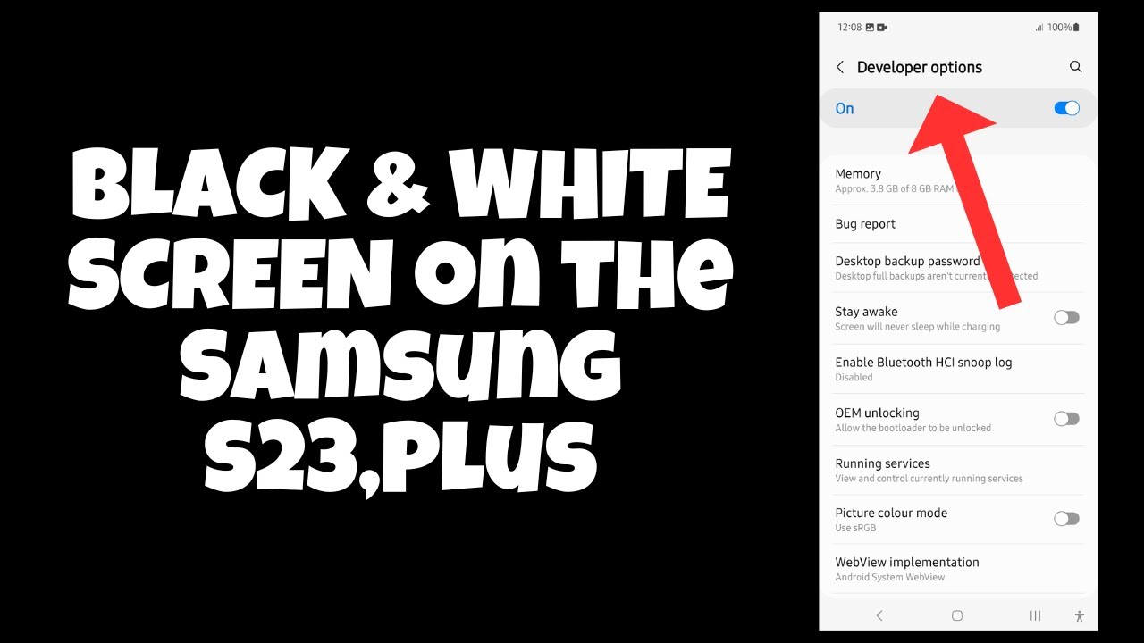 How to Fix BLACK & WHITE SCREEN on the Samsung S23,Plus - YouTube
