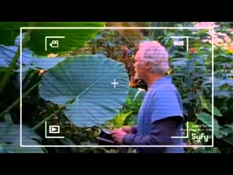 Canavar Tohumlar cine-izle.net