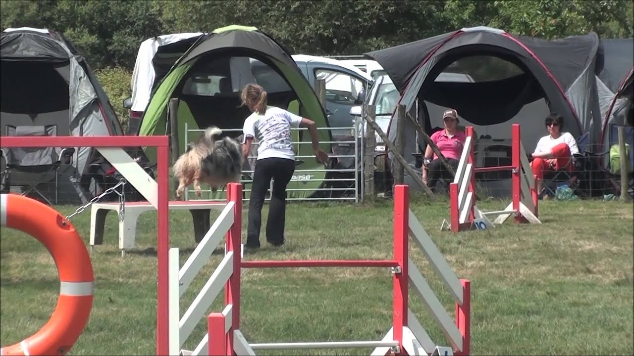 Agility Diamond & Béatrice Chatillon sur Thouet 2014 - YouTube