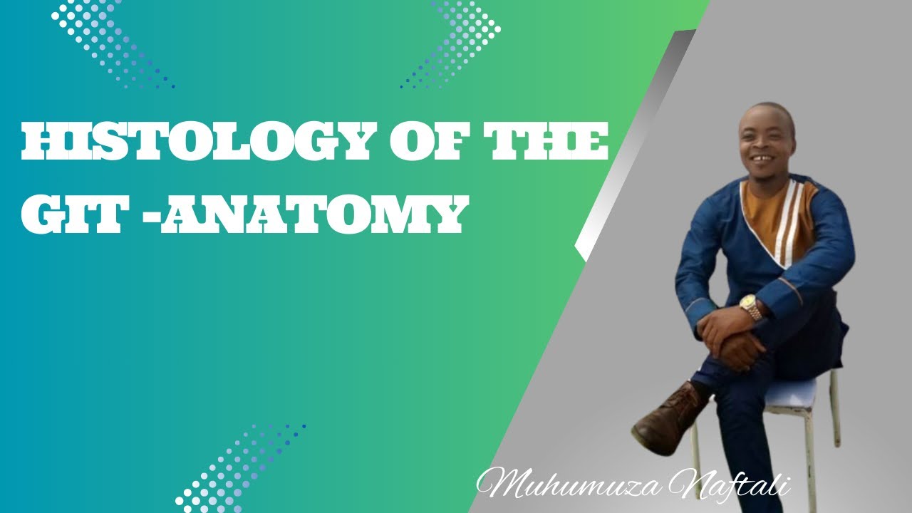 HISTOLOGY OF THE GIT -Anatomy - YouTube