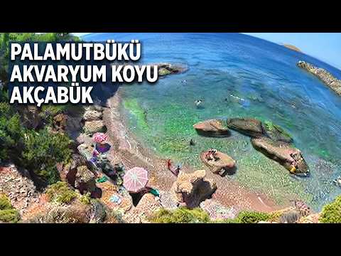 Datça Palamutbükü, Akçabük ve Akvaryum Koyu