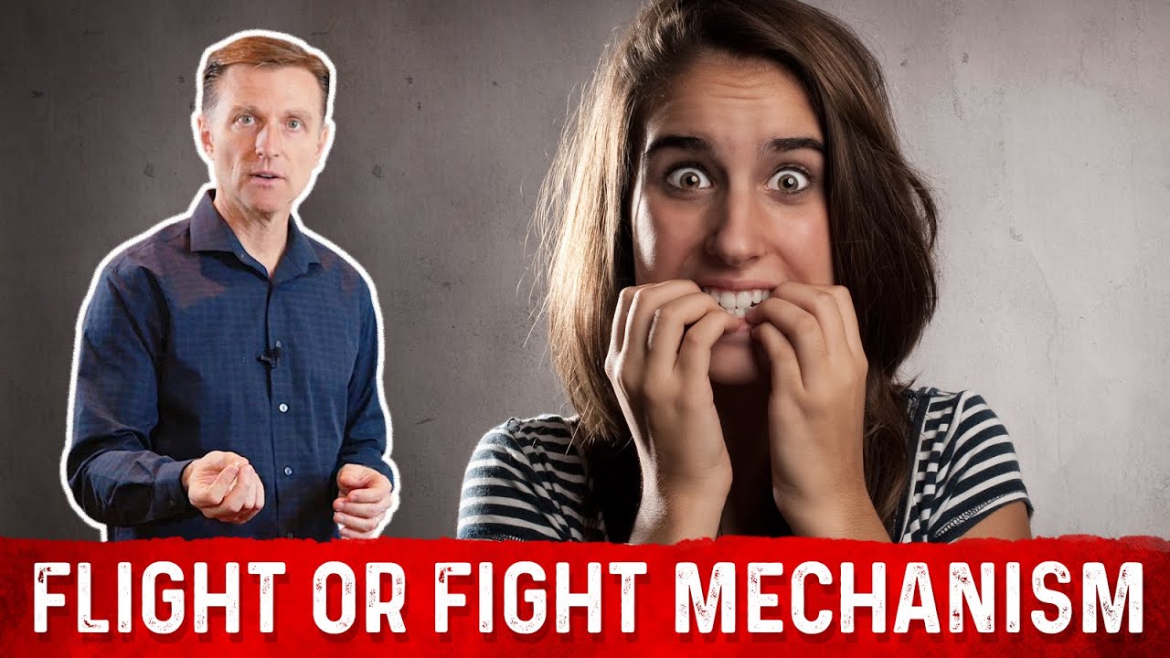 Flight Or Fight Mechanism Explained In A Simple Way Autonomic Nervous flight-or-fight-mechanism-explained-in-a-simple-way-autonomic-nervous