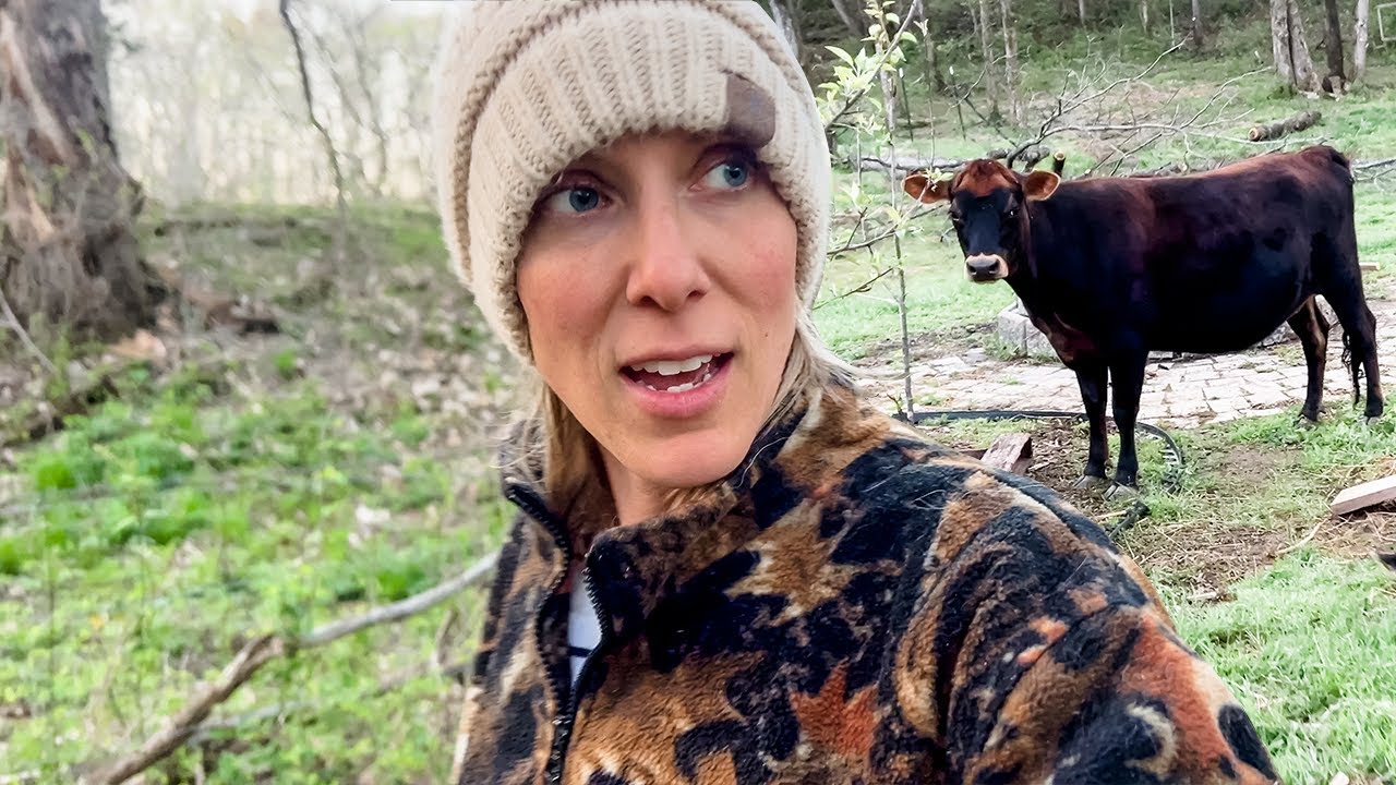 MEET BELLA...HERE'S HER STORY - YouTube