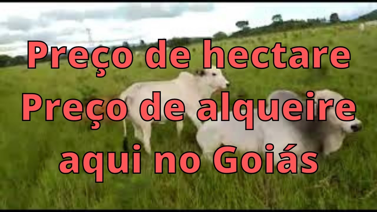 Como Transformar Alqueire Em Hectares - LIBRAIN