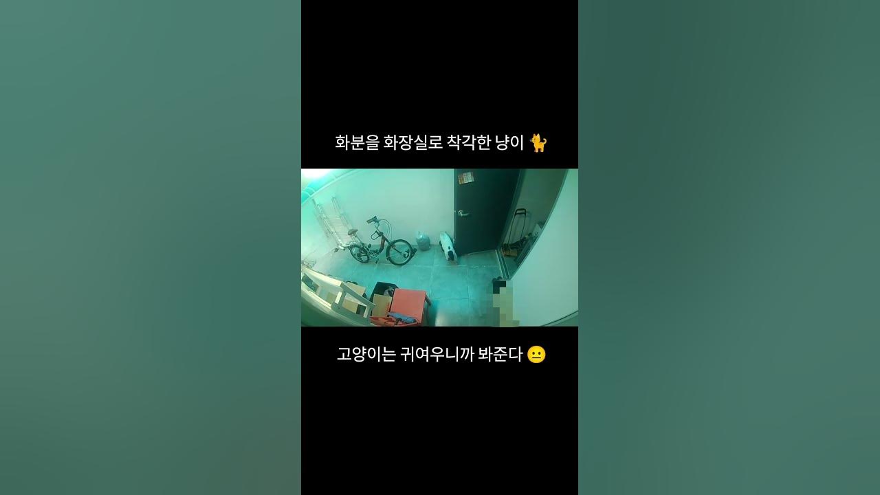 화분에 노상 방뇨한 사람과 Xxx 현관cctv에 딱 걸렸다 Youtube