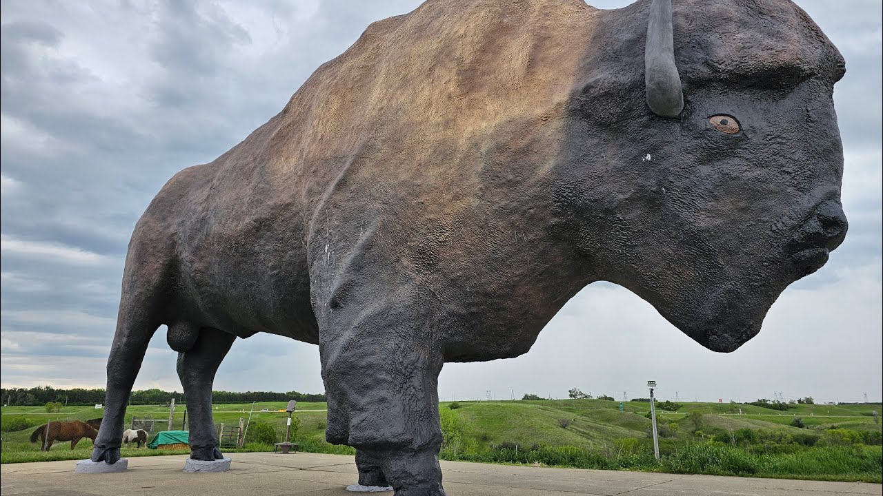 World's Largest Buffalo Statue - YouTube