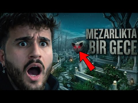 MEZARLIKTA YAVAN DOMUZLARI ETRAFIMIZI SARDI !