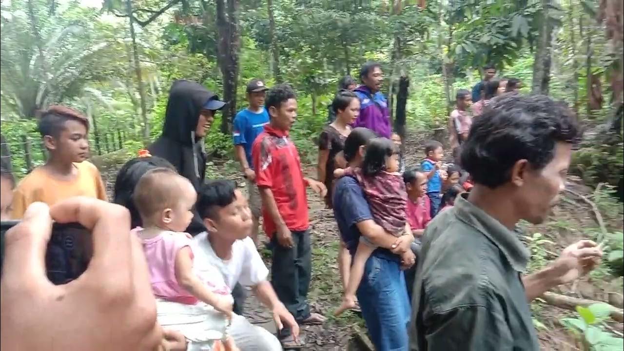 Acara Adat Sungai Labuk Ella Youtube