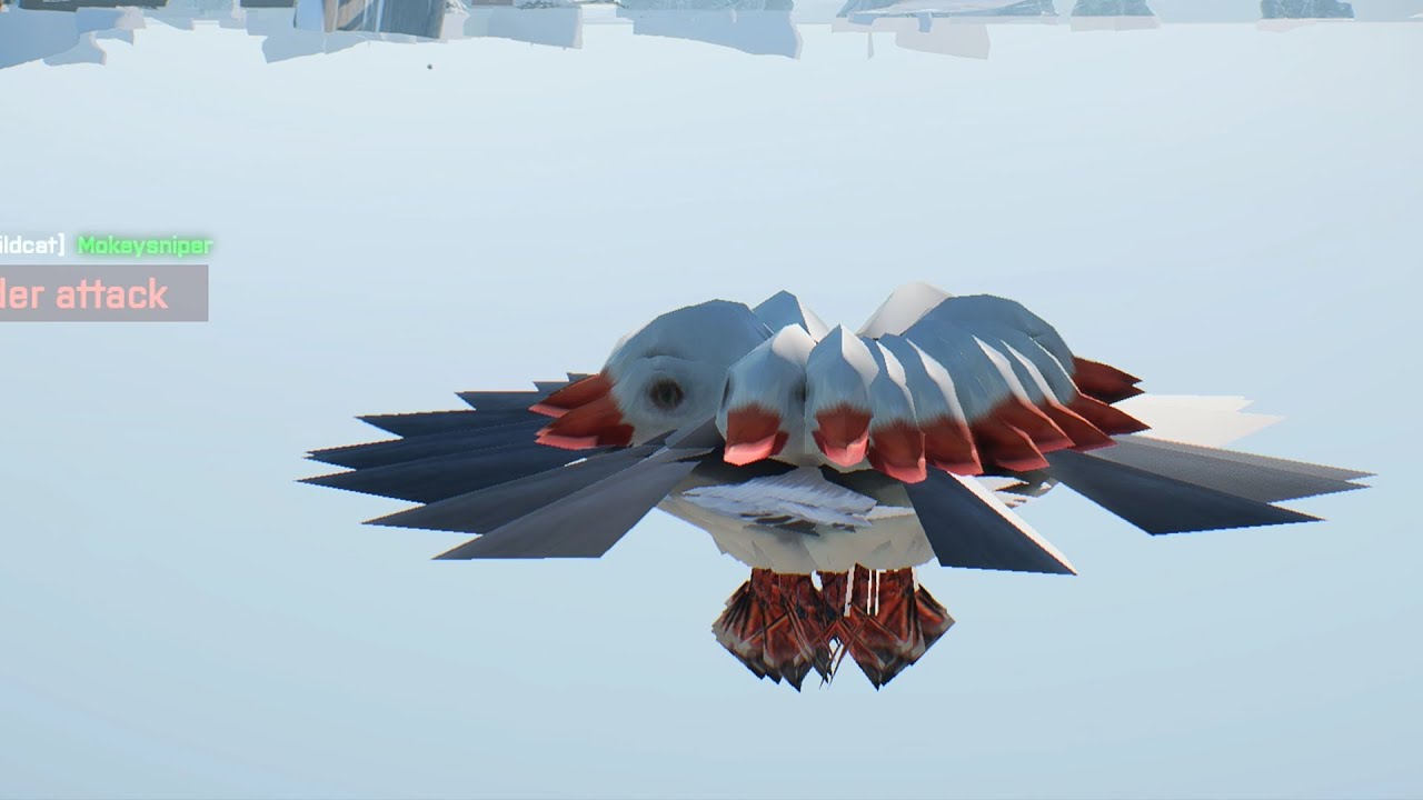 Battlefield 2042 Cursed Seagull - YouTube