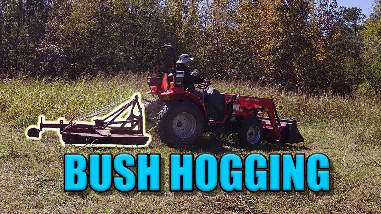 BUSH HOGGING large field with my TRACTOR! The owner needs it cleared ...