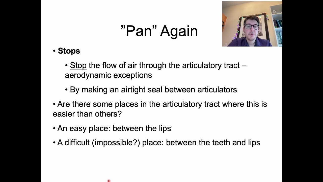 Linguistics 341 - Introduction to Phonetics - Place of Articulation I ...