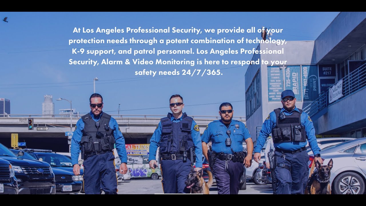 LAPS- LA Pro Security - Services Explained - YouTube