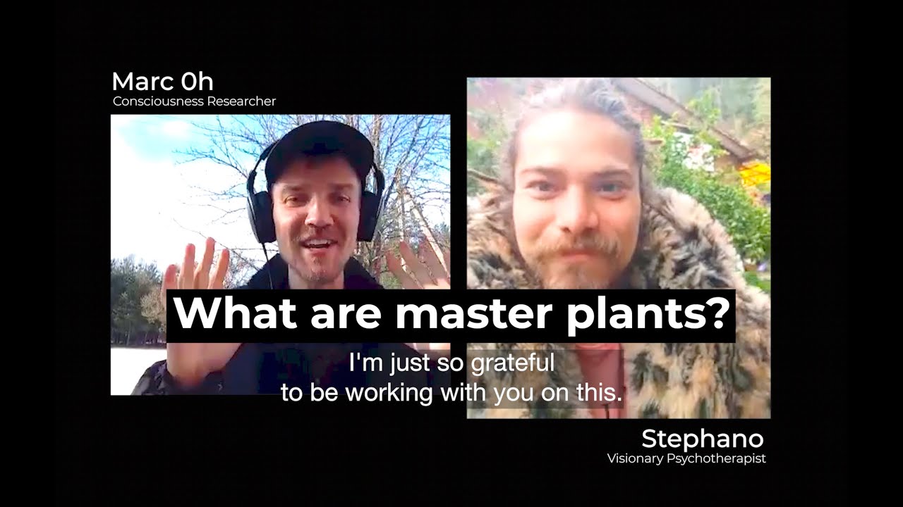 What are master plants? - YouTube