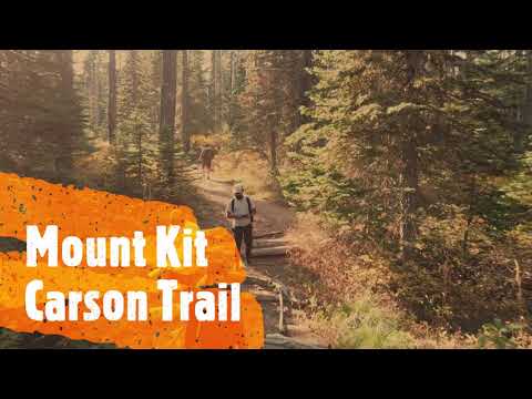 Mount Spokane Trails || Mount Kit Carson Trail || DJI Mavic Mini ...