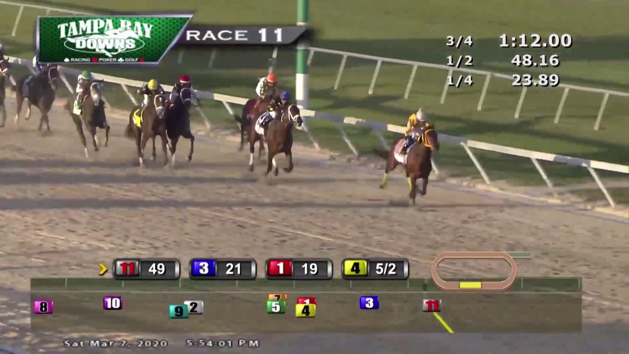 2020 Belmont Stakes Preview with Jay Privman - YouTube