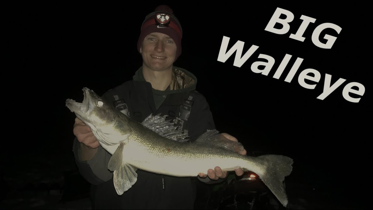 Ice Fishing Walleyes (They Were Hungry) - YouTube