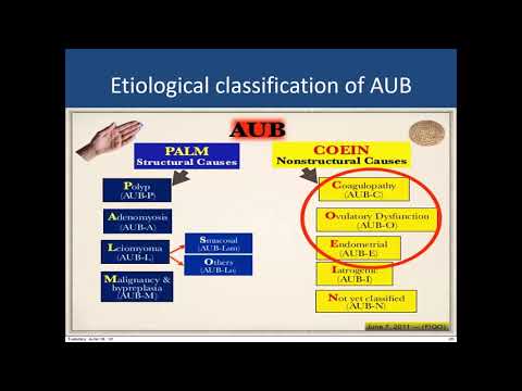 AUB 2 - YouTube