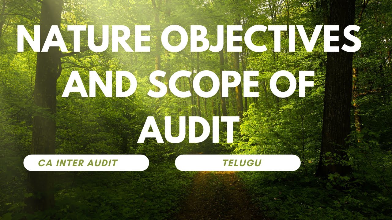 CA Inter Auditing Ch 1 Nature Objectives And Scope Of Audit In ca-inter-auditing-ch-1-nature-objectives-and-scope-of-audit-in