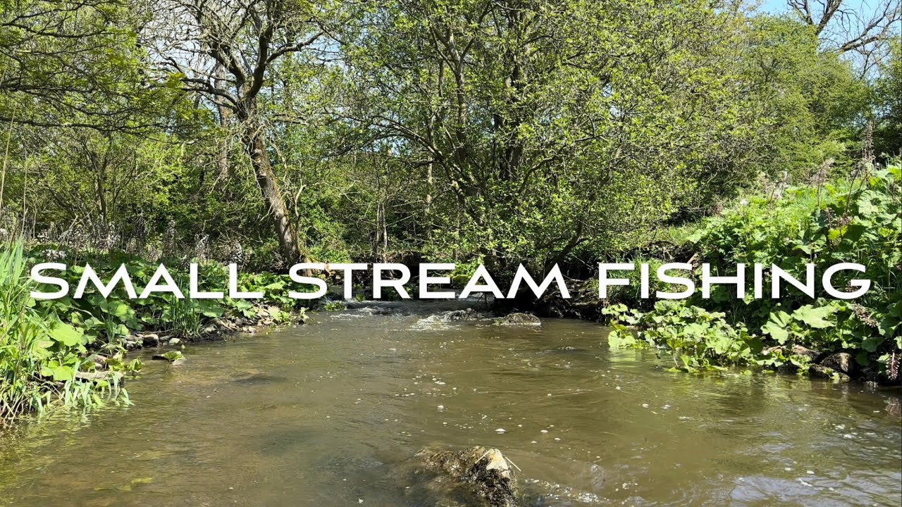 Small Stream Tributary Wild Brown Trout - Fishing With John Murphy ...