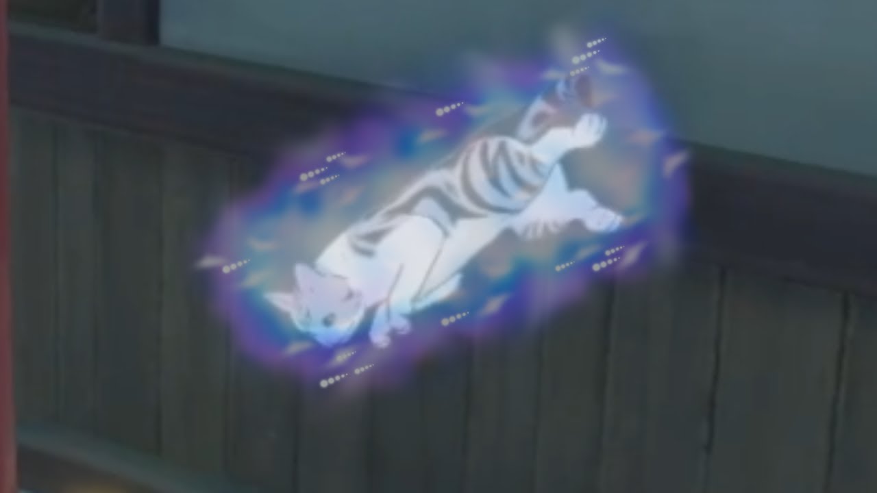 ultra instinct cat - YouTube