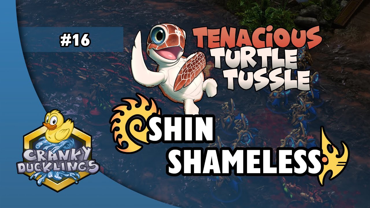 SHIN vs Shameless - ZvP | Tenacious Turtle Tussle #16 | Weekly ...