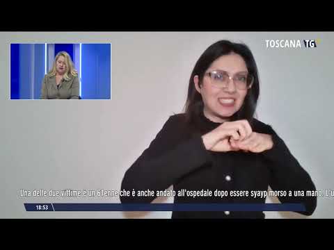 2025-04-02 TG PER SORDI - YouTube