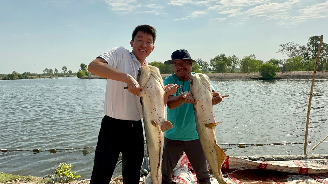 Monster fish!!! Giant Mekong river Catfish - kikita ng 1Million Baht or ...