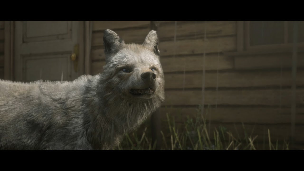 RDR 2 ONLINE - COYOTE BLANCO LEGENDARIO / DOBLE $$, EXP Y ORO EN SERIE ...