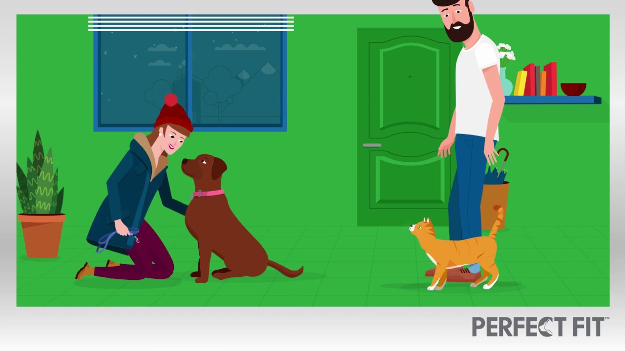 How to use a clicker to train your pet? | Perfect Fit™ - YouTube