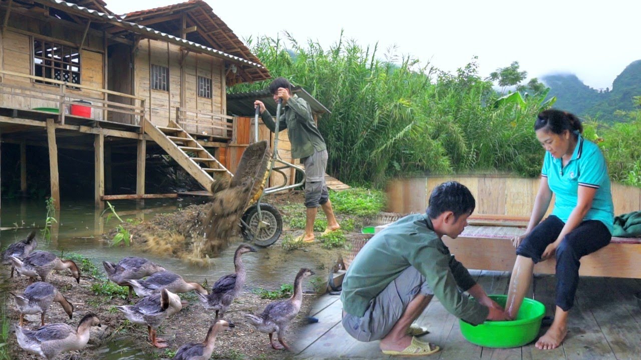 Save the geese from the flood, Taking care of the injured wife, Apply ...