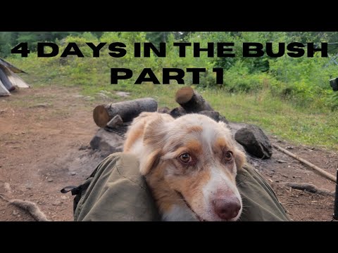 4 DAYS IN THE BUSH 🇨🇦🇨🇦 - YouTube