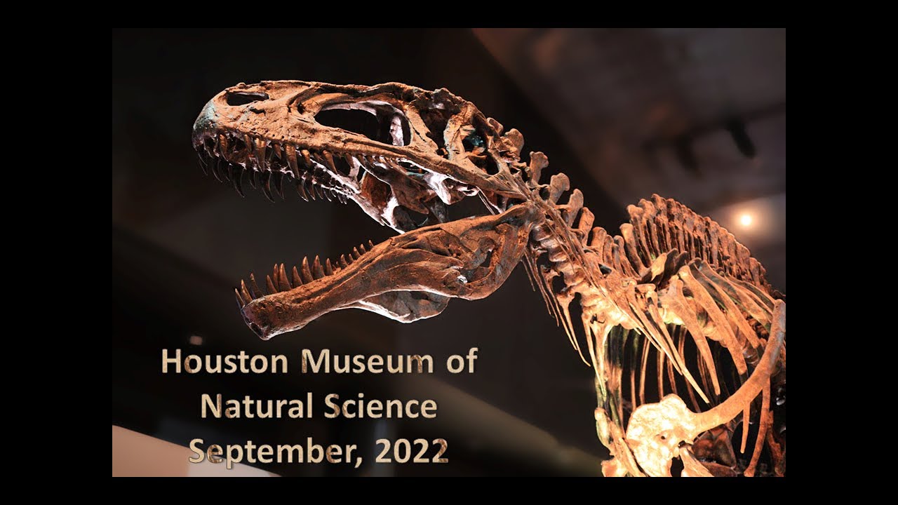 Houston Museum of Natural Science - POV Tour of the Morian Hall of ...